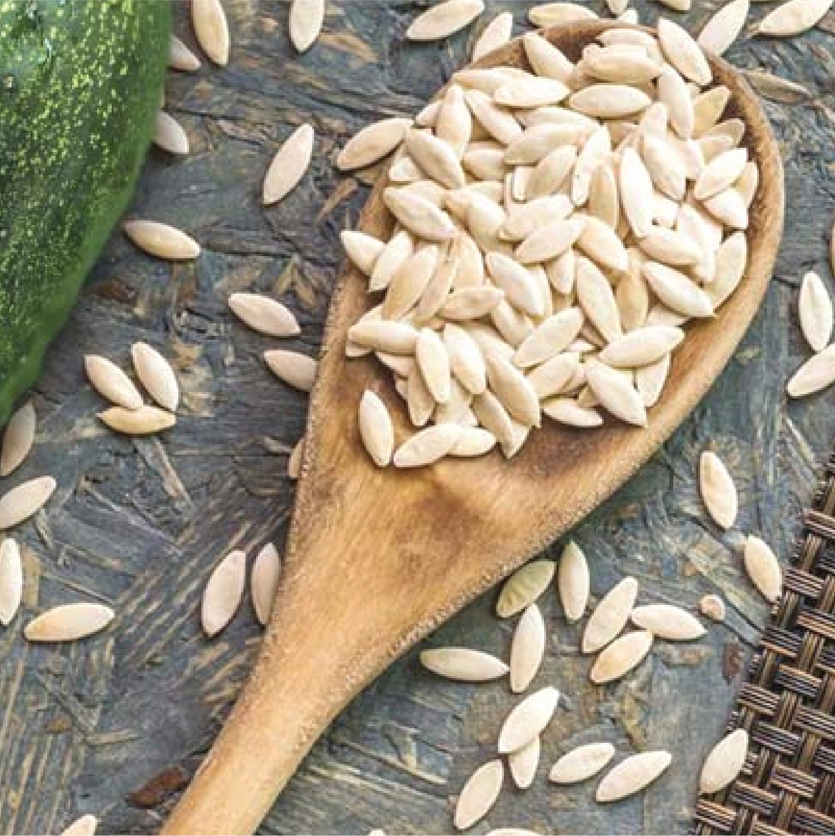 Cucumber Seeds — Modulus Trade Hub